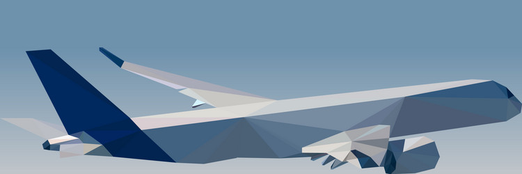 Plane low poly 3d polygon Royalty Free Vector Image