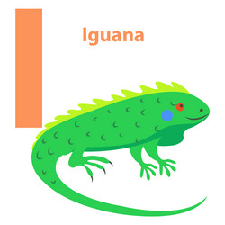 Alphabet Letter I and Iguana Vector Images (over 130)