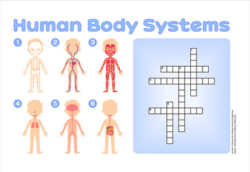 Crossword puzzle my body parts for children Vector Image