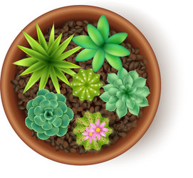 Pot Vector Images (over 320,000)