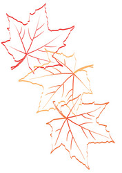 Drawing of leaves on graph paper Royalty Free Vector Image