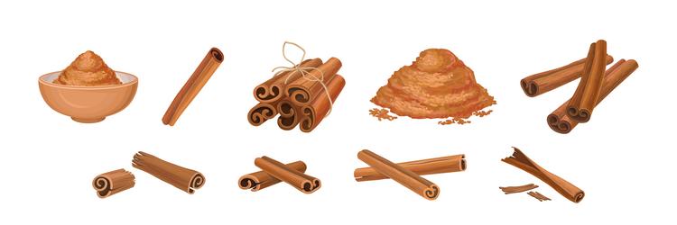 Bark Vector Images (over 20,000)