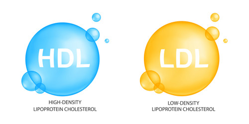 Hdl and ldl cholesterol types good bad Royalty Free Vector