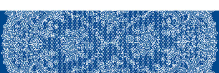 Elegant White Lace Pattern Royalty Free Vector Image