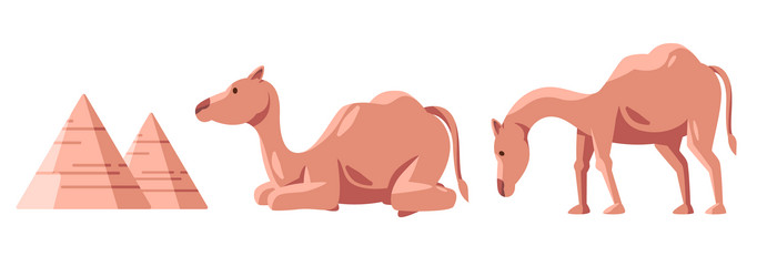 Camel Sitting Vector Images (over 180)