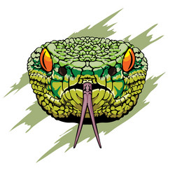 Green Snake Logo Vector Images (over 1,400)