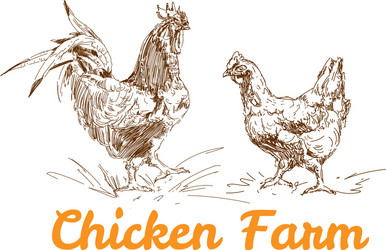 Vintage Chicken Vector Images (over 16,000)