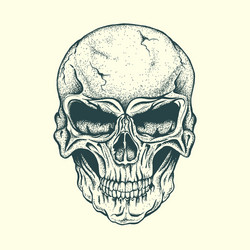Hand drawn skull Royalty Free Vector Image - VectorStock