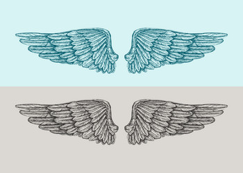 How To Draw Realistic Angel Wings