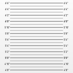 Height Chart in Jail Vector Images (over 140)