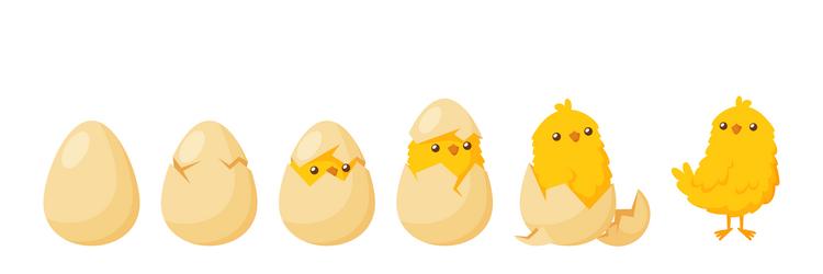 Chick Vector Images (over 30,000)