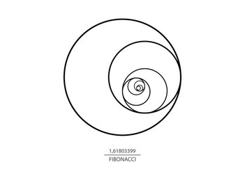 Fibonacci sequence circle golden ratio spiral Vector Image