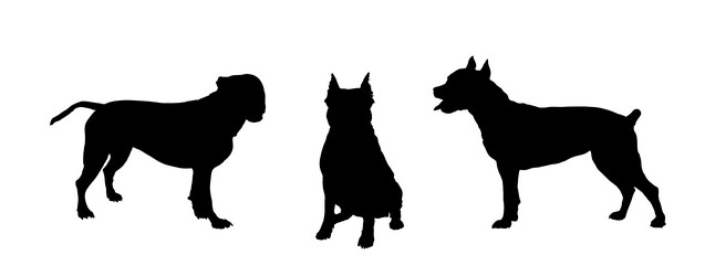 Fighters terrier dog breed collection Royalty Free Vector