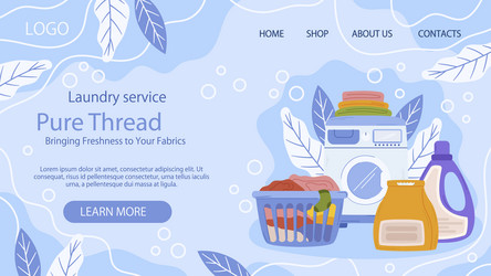 Design laundry service landing page isolated Vector Image