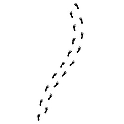 Foot Path Vector Images (over 1,600)