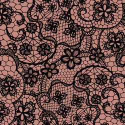 Lace seamless pattern with flowers Royalty Free Vector Image
