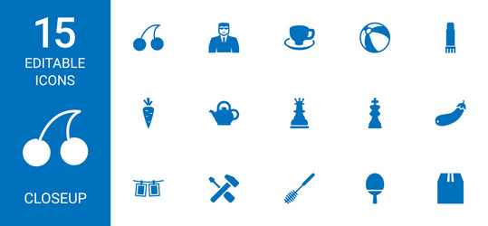 Closeup icons Royalty Free Vector Image - VectorStock