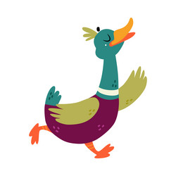 Funny dabbling duck character with wings flying Vector Image