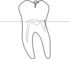 Human body parts outline on a Royalty Free Vector Image