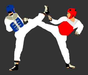 Fight between two taekwondo fighters Royalty Free Vector
