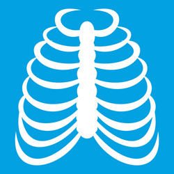 White Rib Cage Skeleton Vector Images (over 120)