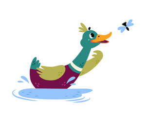 Funny dabbling duck character swim in pond dream Vector Image