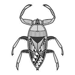 Water Bug Vector Images (over 3,900)