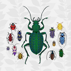 Cute Cartoon Bugs Vector Images (over 22,000)