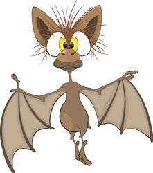 Cartoon bat sleeping Royalty Free Vector Image