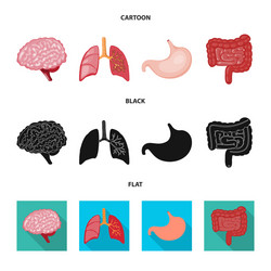 Human and health sign Royalty Free Vector Image