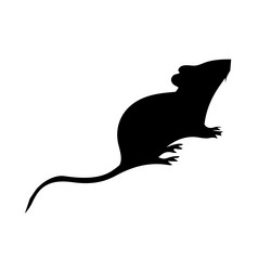Flat Rat in Vector Images (over 5,100)