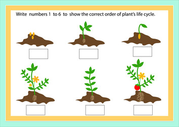 Fruit Tree Life Cycle Vector Images (over 180)