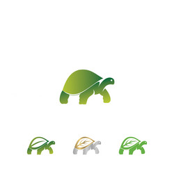 Tortoise logo design template inspiration Vector Image