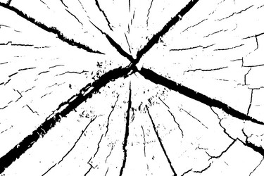 Cracked Circle Vector Images (over 6,200)