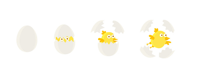Chick hatch from egg step cracked Royalty Free Vector Image