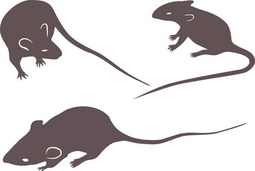 Mice Vector Images (over 11,000)