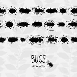 Seamless border with colorful bugs Royalty Free Vector Image