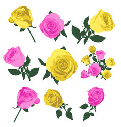 Flowers set Royalty Free Vector Image - VectorStock