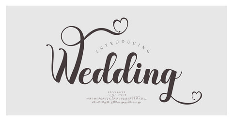 Letter Tails Vector Images (over 3,900)