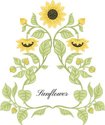 Sunflower color Royalty Free Vector Image - VectorStock