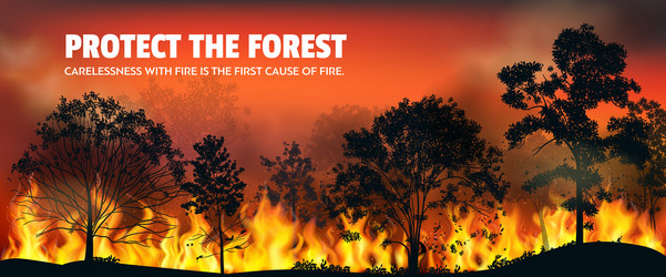Forest Fire Poster Vector Images (over 1,500)
