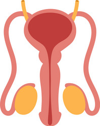 Cartoon Testicles Vector Images (over 220)