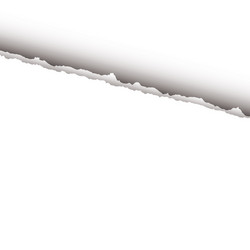 Cartoon torn paper card poster background Vector Image