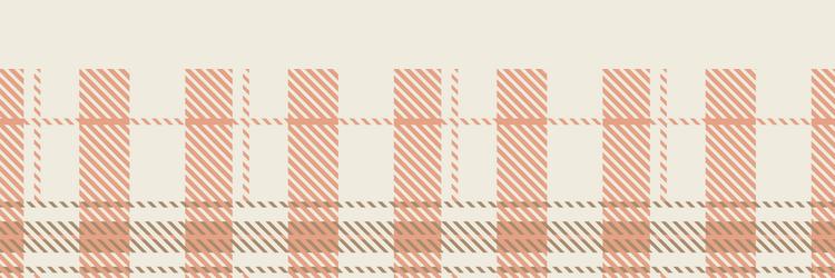 Gender neutral seamless plaid border Royalty Free Vector