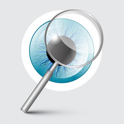 Magnifying glass icon with eye Royalty Free Vector Image