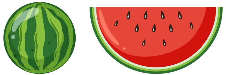 Watermellon Clipart