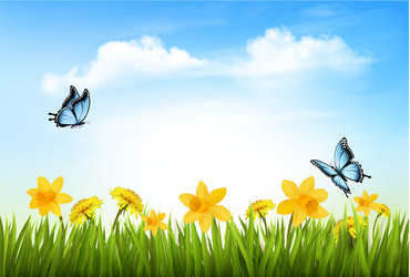 Nature scene background with butterflies flying Vector Image
