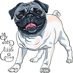 Pug Vector Images (over 10,000)