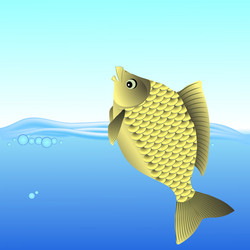 Fish Eye Vector Images (over 8,900)