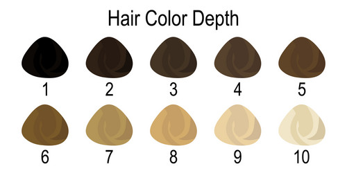 Palette with hair colour numbering system Vector Image